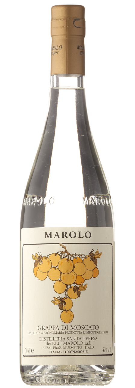 Grappa di Moscato - Marolo - online kaufen